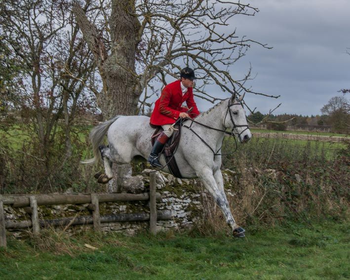 VWH Gallery - VWH Hunt 2022