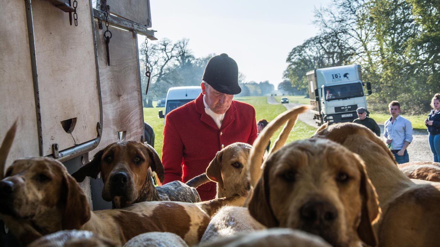 VWH Gallery - VWH Hunt 2022