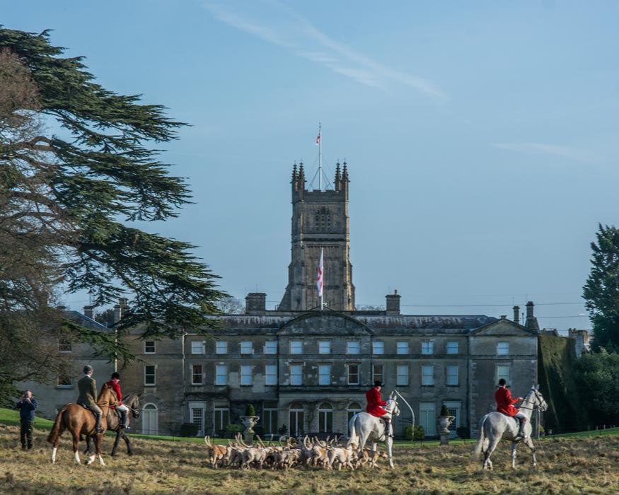 Home - VWH Hunt 2022